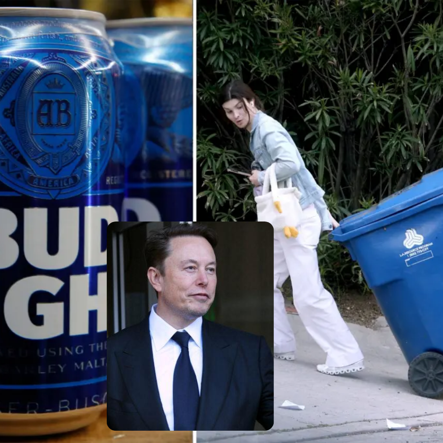 Budweiser, the beer giant, has reportedly taken a massive hit of $1 ...