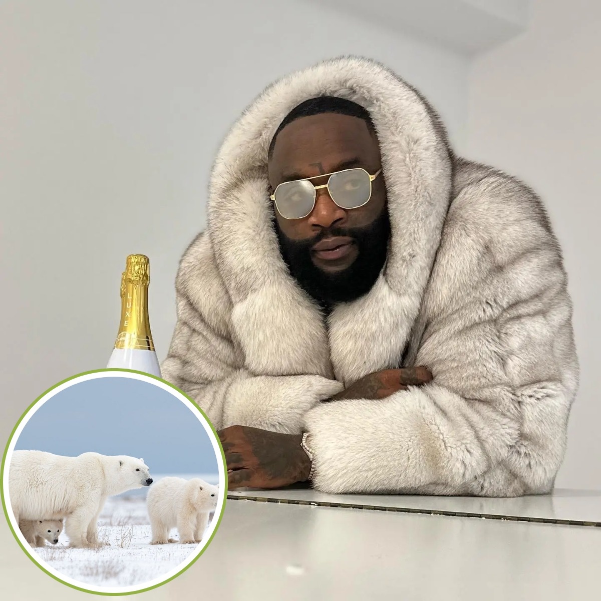Chilling Adventure: Rick Ross Ventures to the North Pole for a 7-Day ...