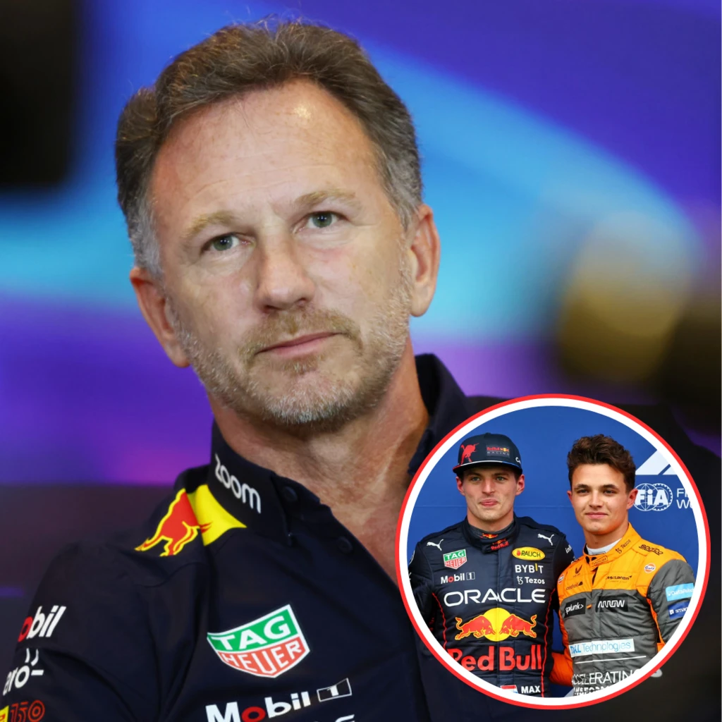 Red Bull boss Christian Horner reveals the origins of the collision between Max Verstappen and ...