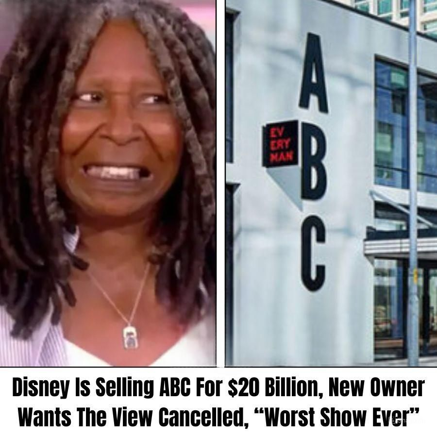 Disney Is Selling ABC For $20 Billion, New Owner Wants The View ...