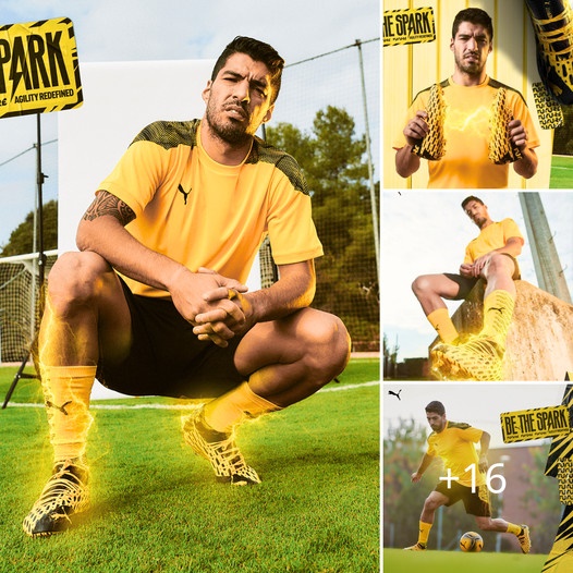 GOLDEN DRAGON: Former Liverpool star Luis Suarez joins with Puma to ...