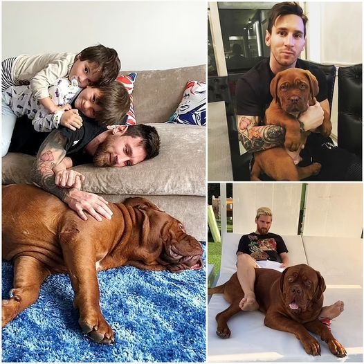 Lionel Messi opens up about the painful decision he and his wife ...