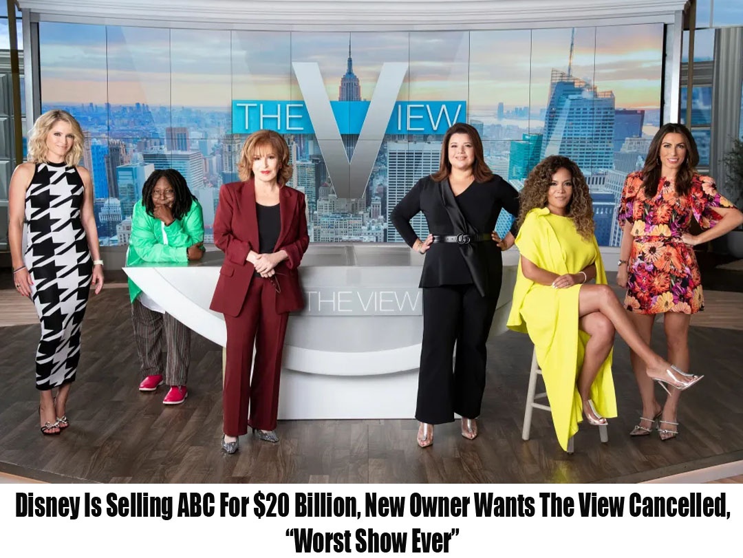 Disney Is Selling ABC For $20 Billion, New Owner Wants The View ...