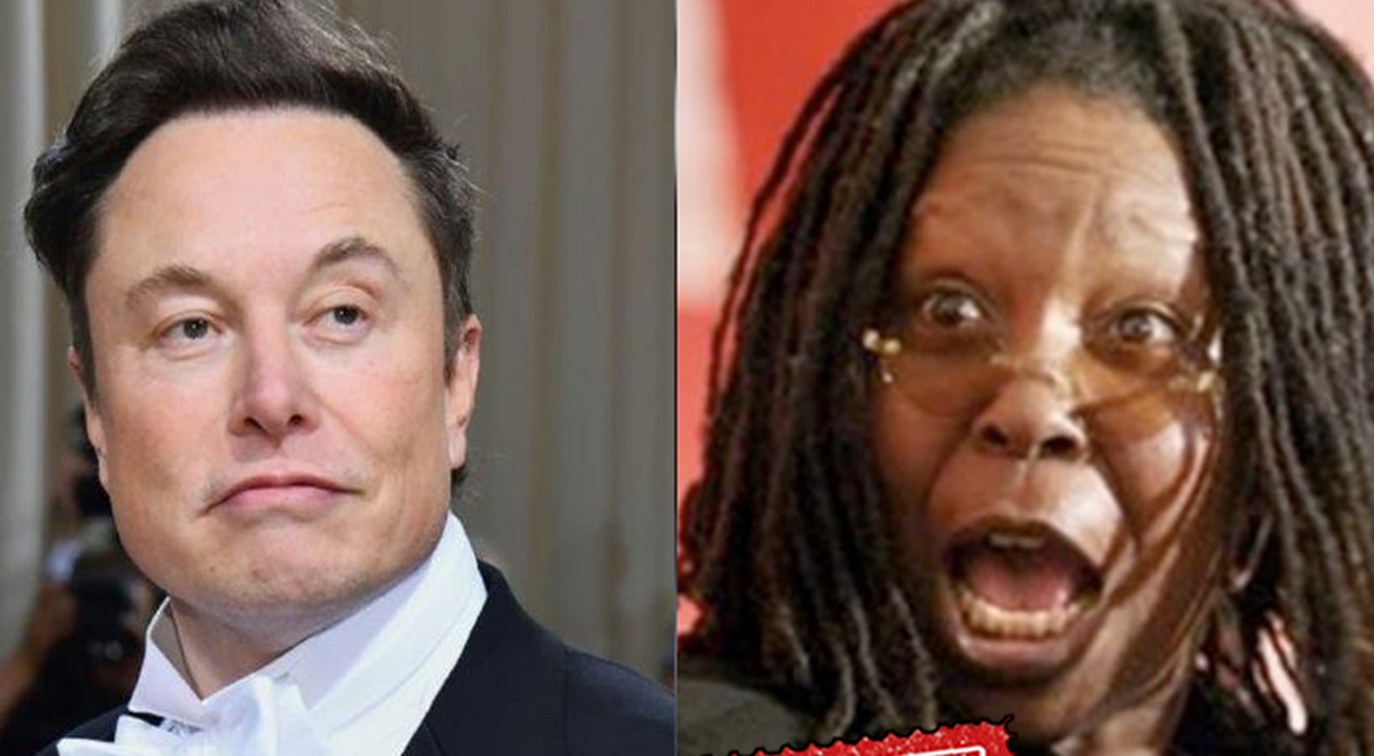 FACT CHECK: Did Elon Musk Acquire ABC And Fire Entire Cast Of ‘The View ...