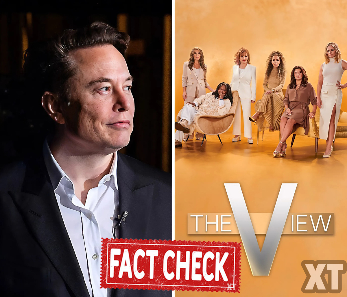 Fact Check: Elon Musk speaks out to boycott The View - News