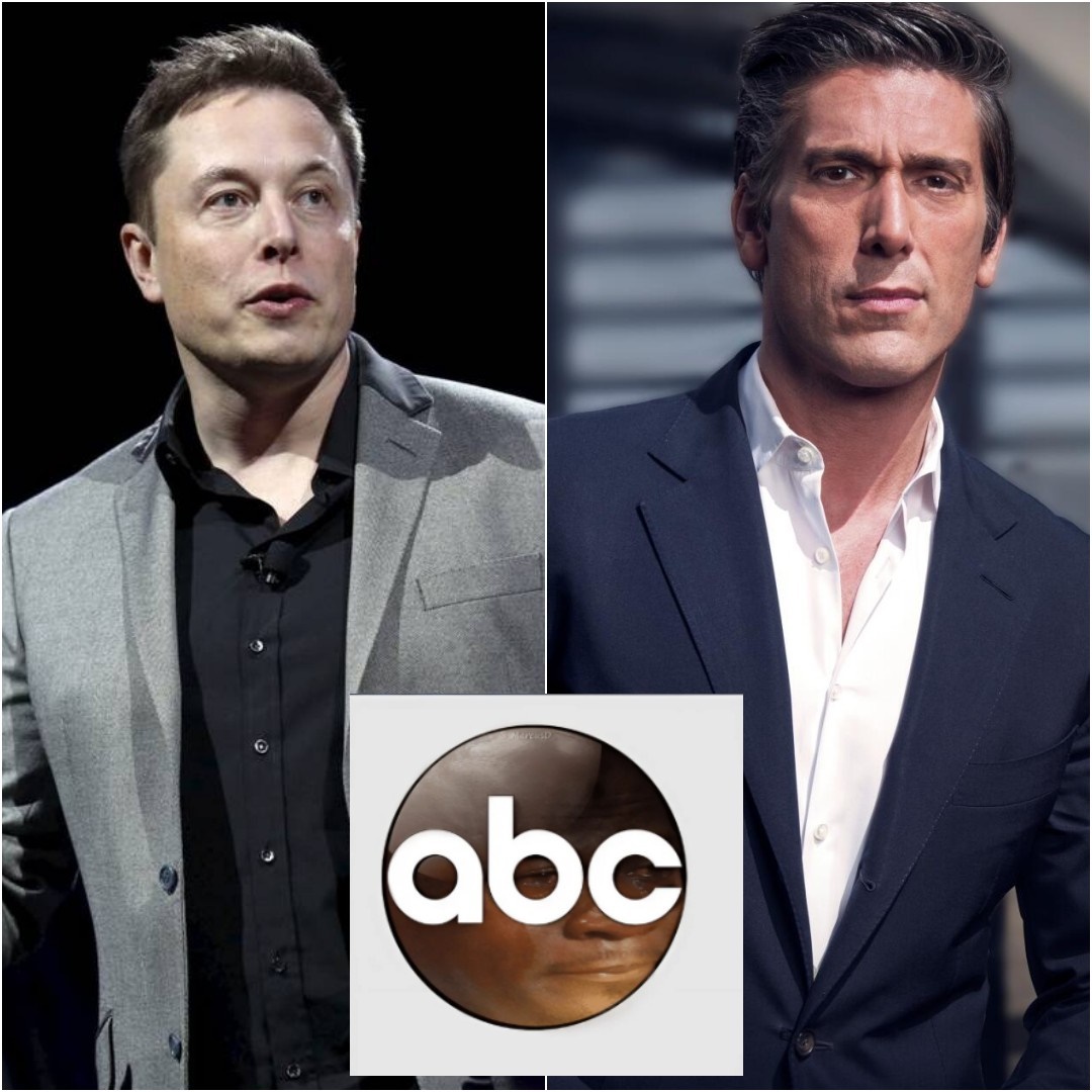 After Leaving CNN, Elon Musk Plans To Buy Abc, Promises To Fire David ...