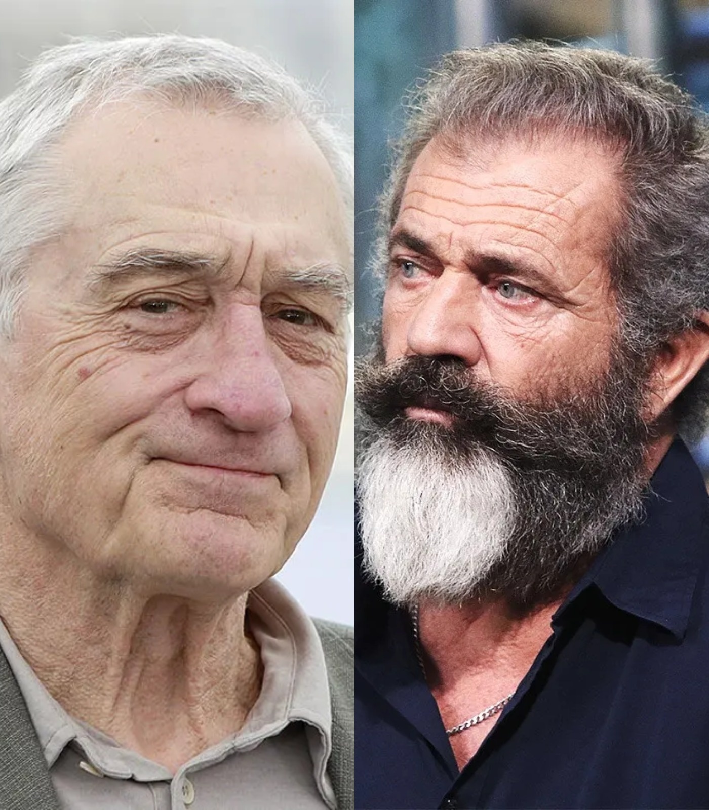 Mel Gibson Rejects $100M Netflix Deal, Chooses Robert De Niro Instead ...