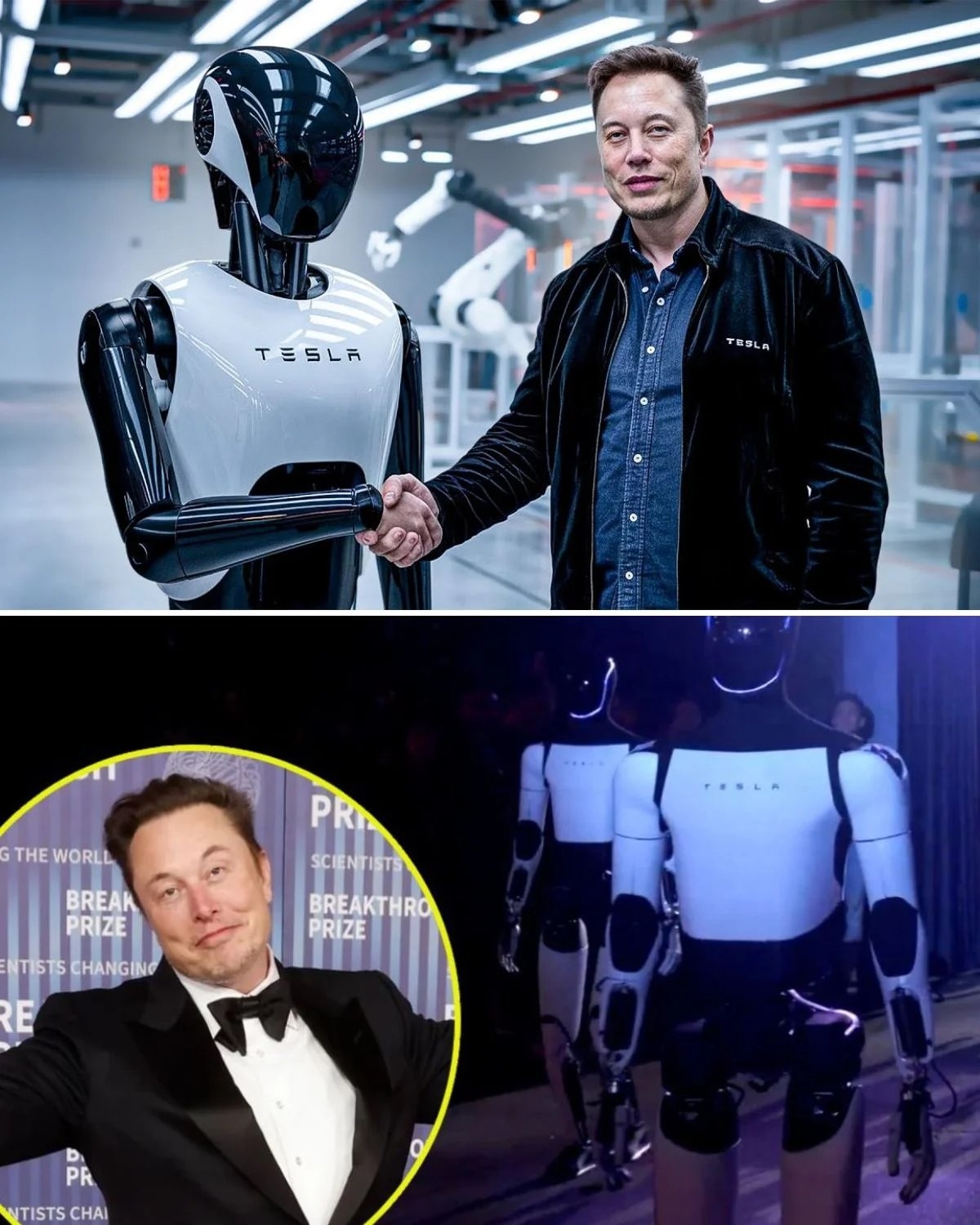 Elon Musk’S Bold Claim Rocks Markets: Tesla Loses $70 Billion As He ...