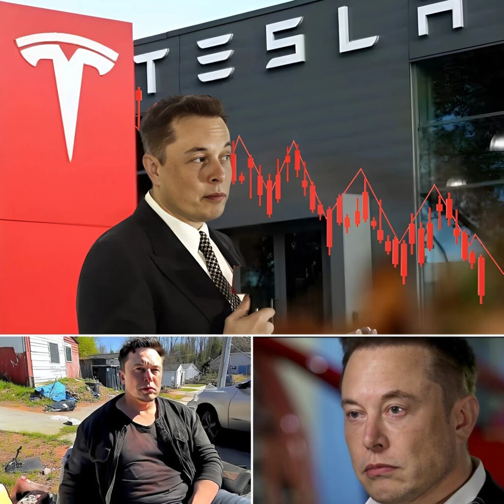 Tesla Collapses, Twitter in Chaos, and Now $144 Billion Disappeared ...
