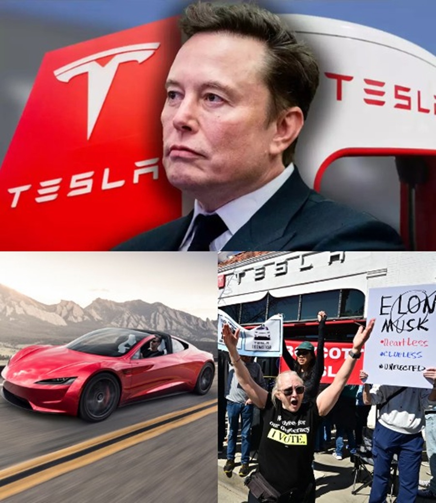 71% Profit Collapse, 9% Revenue Dip, and a 40% Stock Freefall: The ...