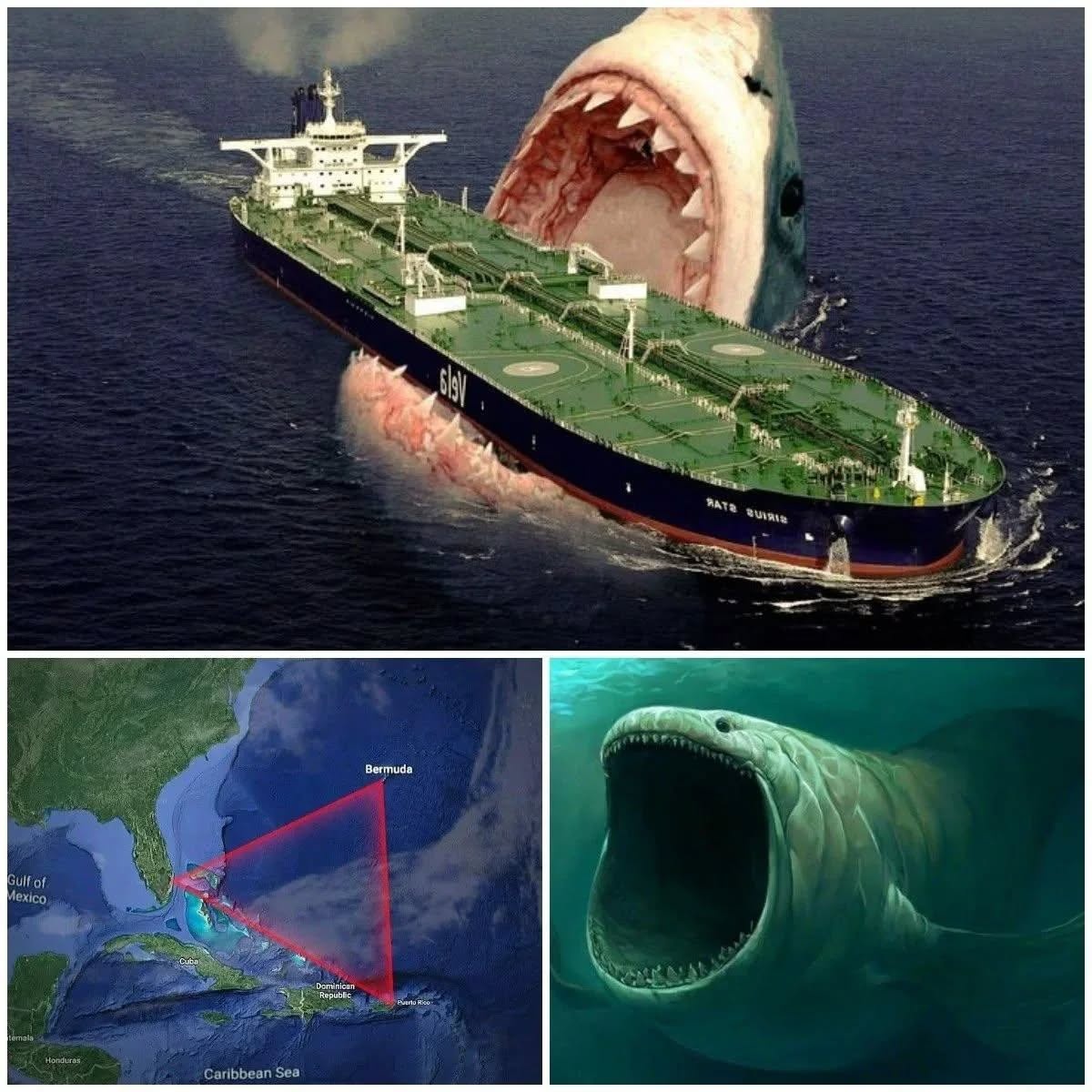Bermuda Triangle Monster: A Ship-Attacking Legend - News