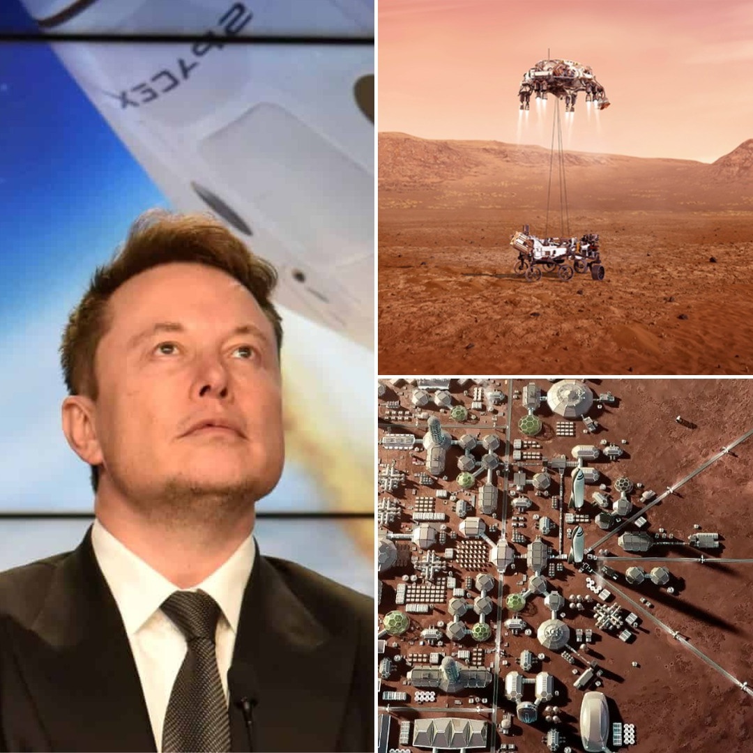 Elon Musk’s Vision for Mars: A $100,000,000,000,000,000 Gold Mine Ready ...