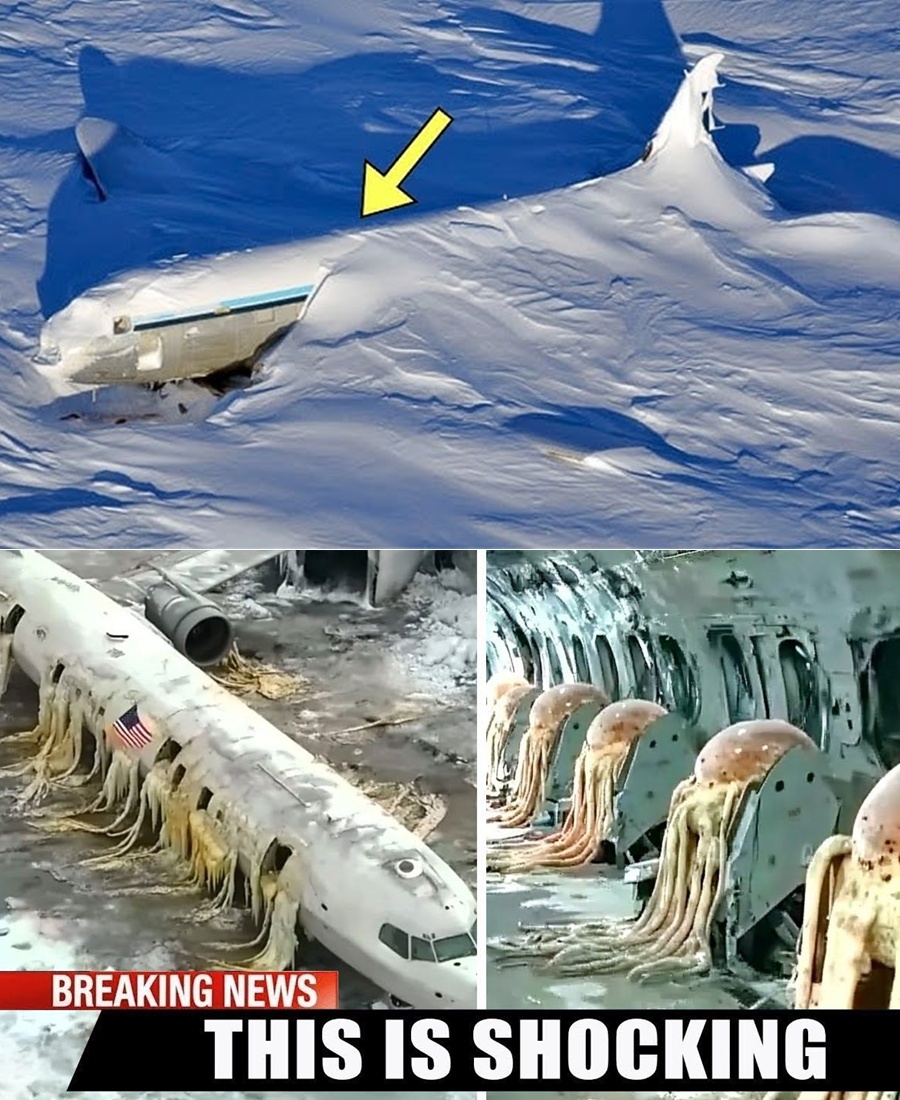 Frozen Plane Resurfaced After 70 Years – What Lay Beside It Changes ...