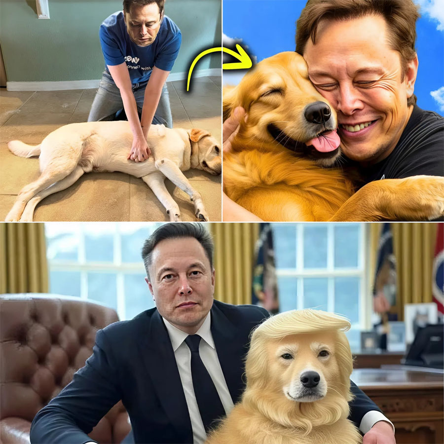 Elon Musk ignites the web with a SHOCKING announcement: he will invest ...